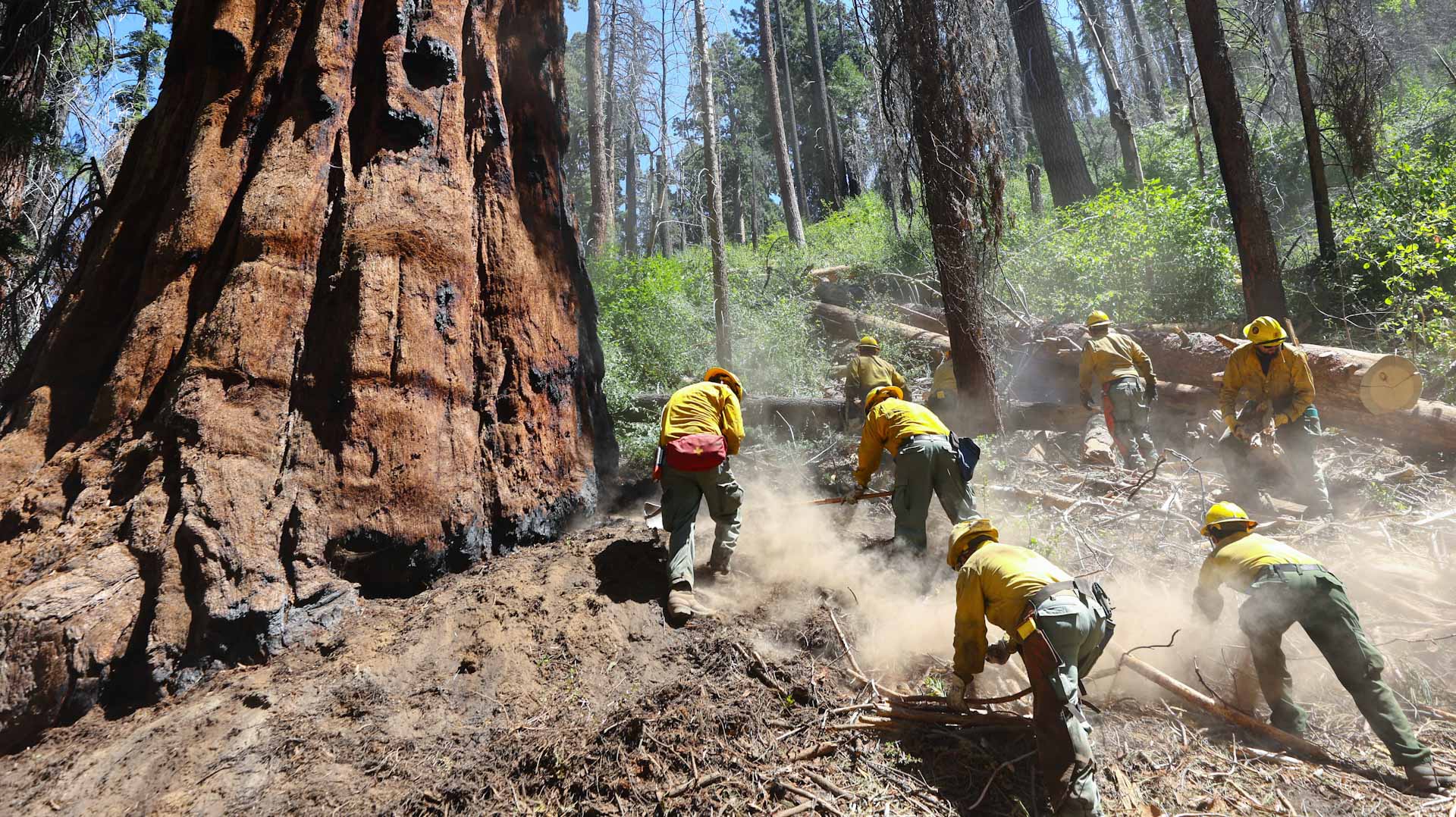 Two Dead Thousands Told To Flee California Wildfire