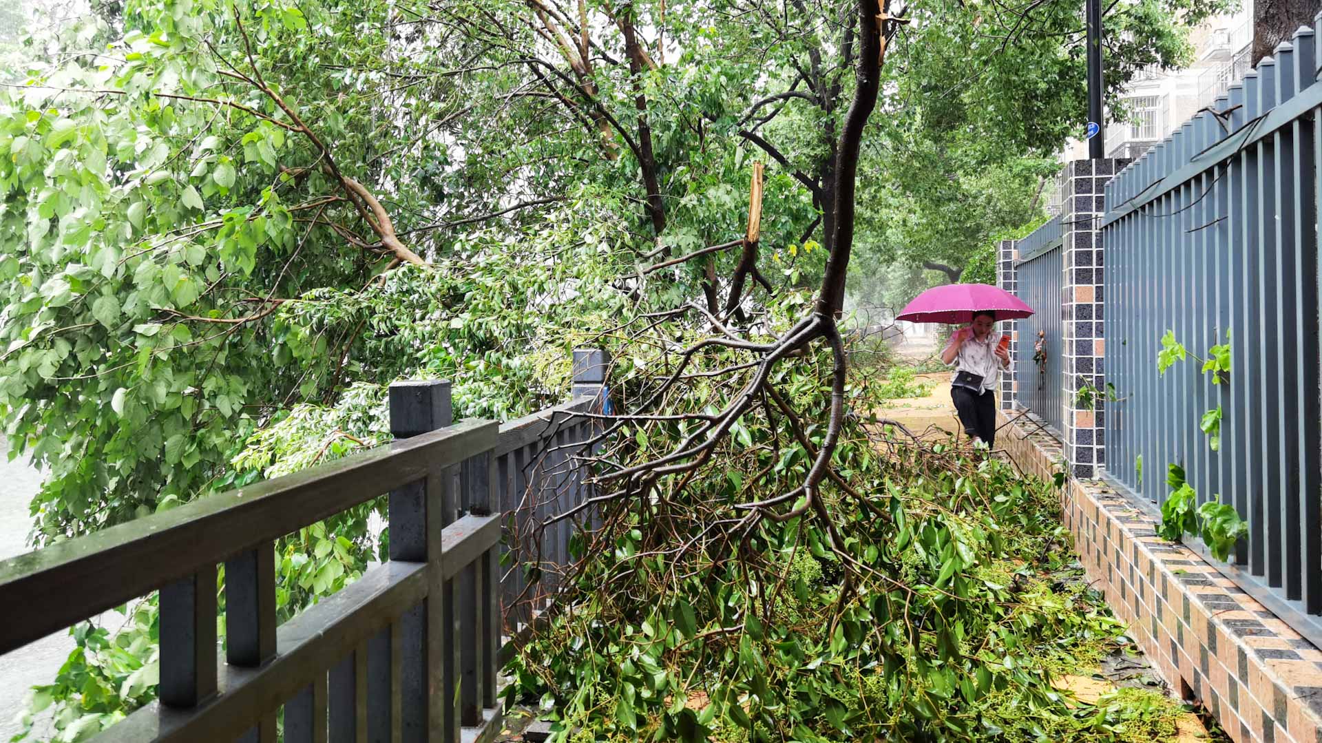 Shanghai hit by second typhoon days after historic storm